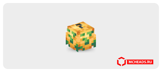 Fruit — 75993 — Minecraft head