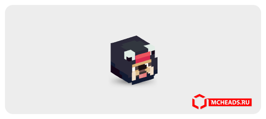 Pingu Eating Doge — Minecraft head
