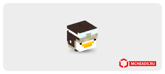 Bird Pilot — Minecraft head