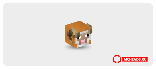 Aries (orange) — Minecraft head