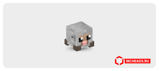 Baby Sheep (light gray) — 7702 — Minecraft head