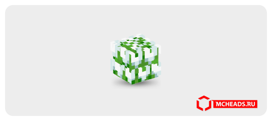 White Tulips — Minecraft head