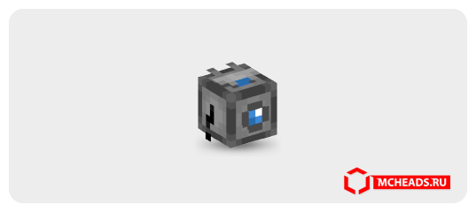 Camera — 2950 — Minecraft head